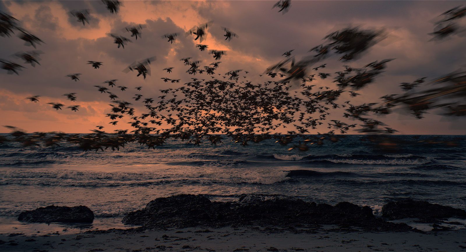 Caroline Poggi et Jonathan Vinel (Jessica Forever) : "Le personnage ...